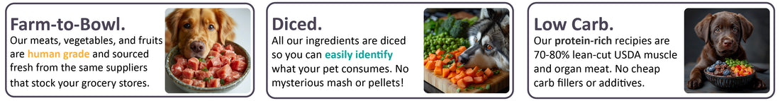 Benson's Bowl – Benson's Bowl