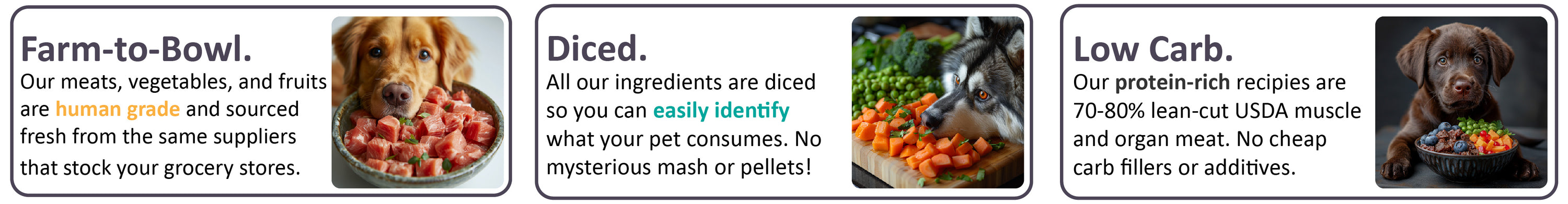 Benson's Bowl – Benson's Bowl