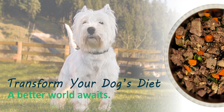 Benson's Bowl – Benson's Bowl